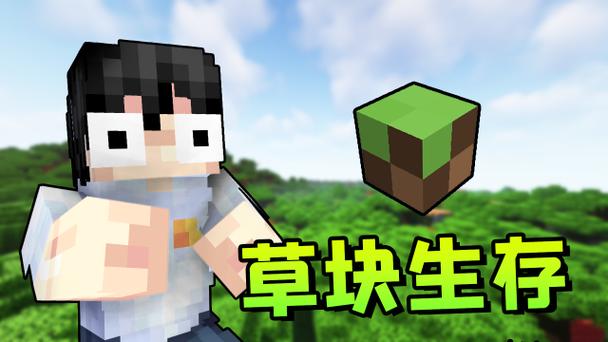 我的世界阿阳生存