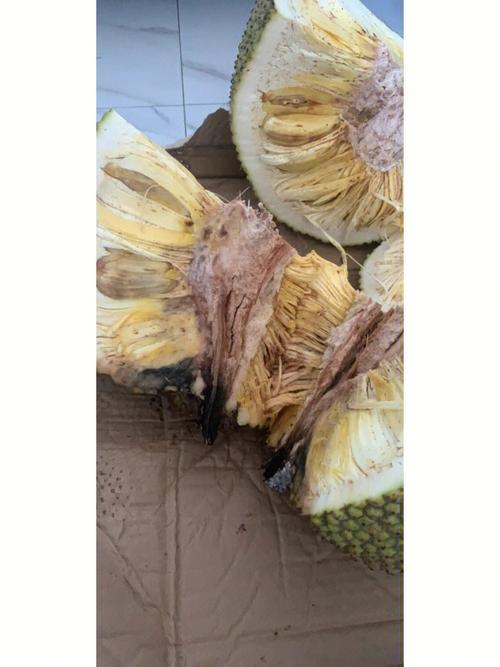 菠萝蜜熟透和烂的区别图标