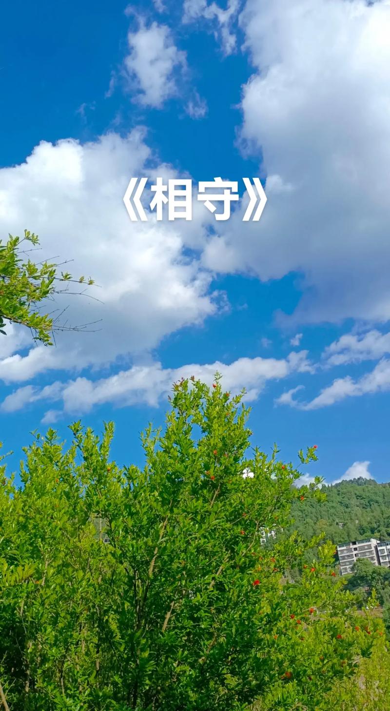 金久哲新歌图标