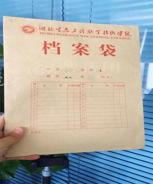 档案袋在自己手里怎么办图标