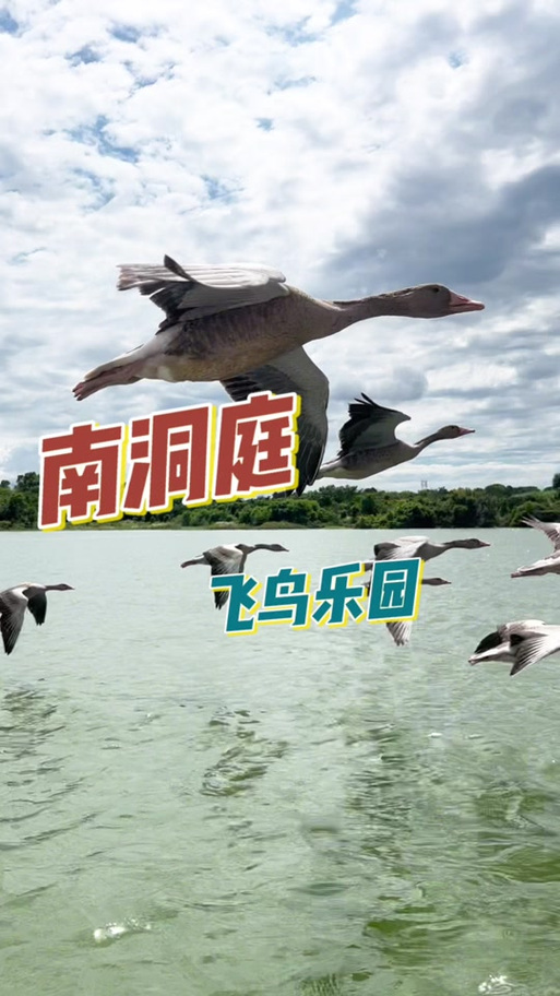 飞鸟庄园app