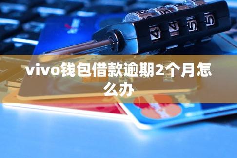 vivo钱包借款利息截图