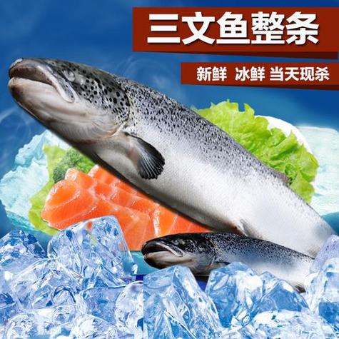 三文鱼冻久了还能吃吗截图