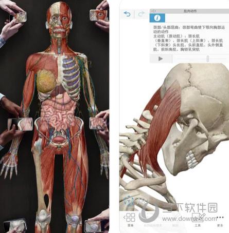 Visible body安卓版下载截图