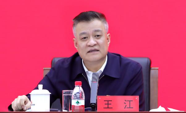 中央金融办王江级别图标
