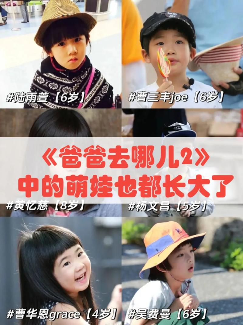 爸爸去哪儿第二季全集哪里看图标