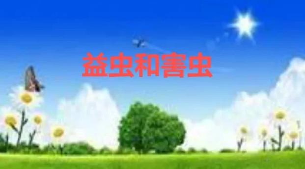 关于益虫和害虫的故事截图