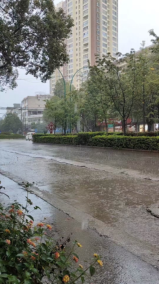 真实下雨视频图标