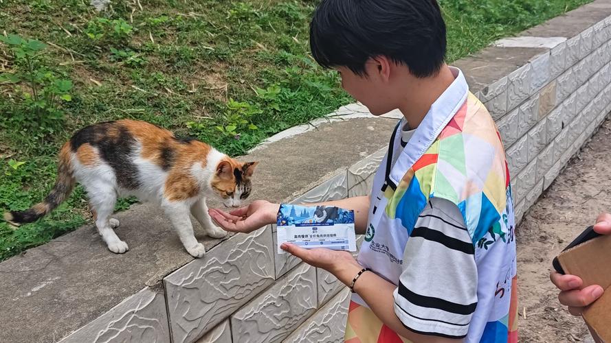 大猫娘学院冷狐版获取
