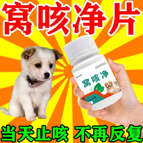 犬窝咳狗狗用什么药图标