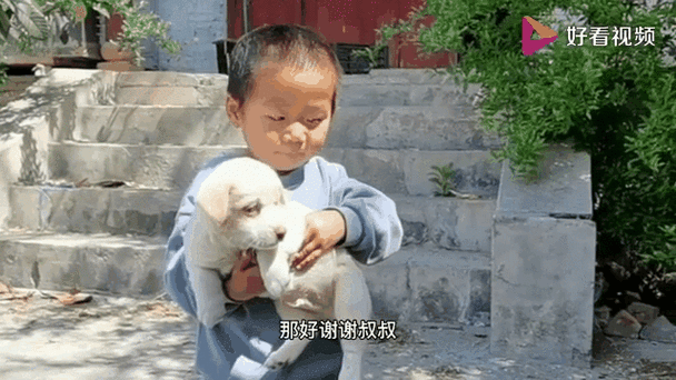 小孩看小狗视频图标