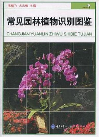 植物识别图标