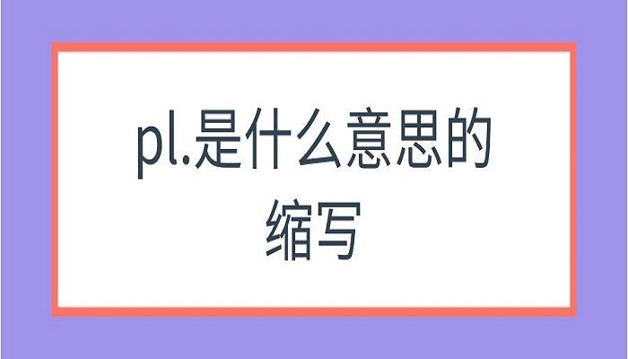pl是哪个公司截图