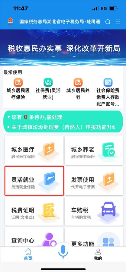 湖北楚税通app图标