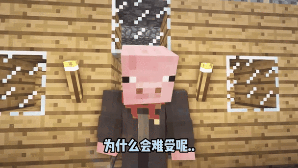 我的世界情绪值图标