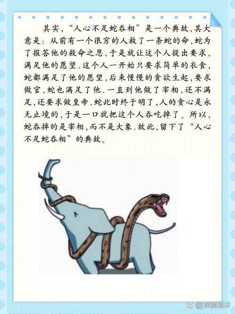呈象是什么意思图标