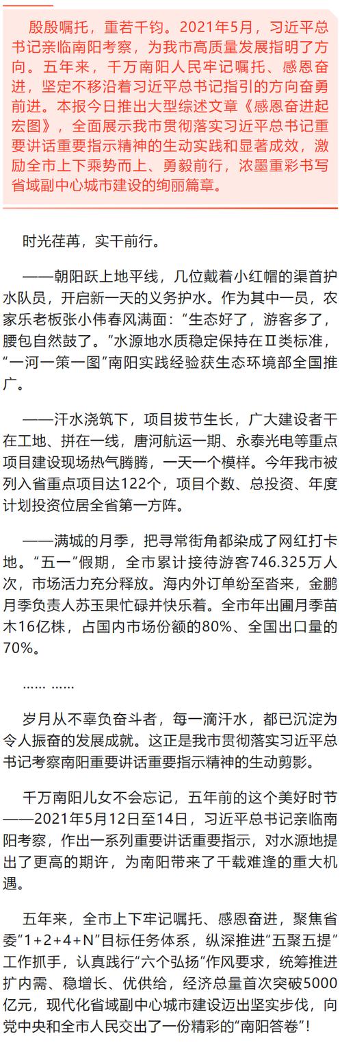 南阳日报今日报纸图标