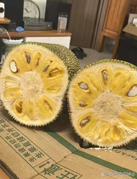 菠萝蜜可以多吃吗图标