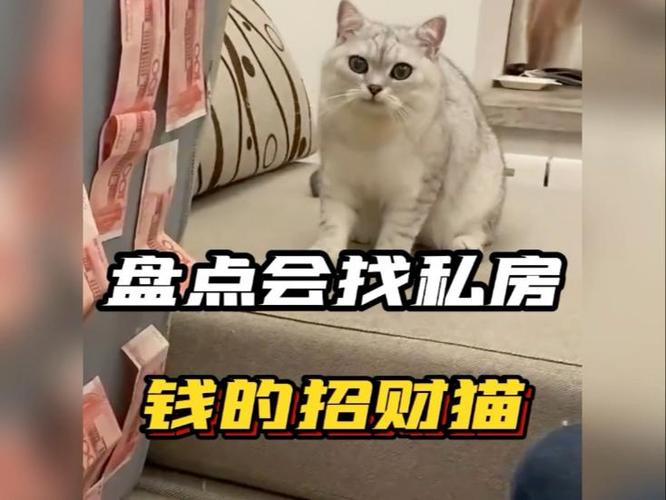 招财猫找私房钱
