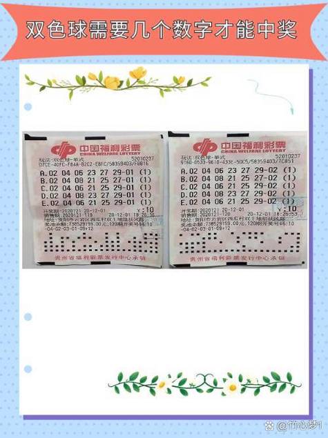 6个号码打什么彩票截图