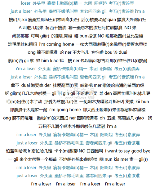 loser音译歌词图标