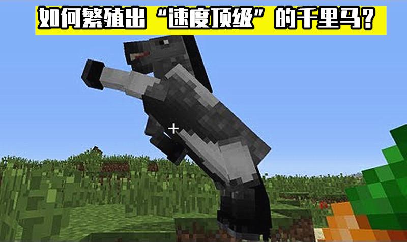 我的世界马繁殖图标