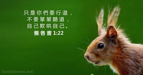 雅各书5章的详细解读