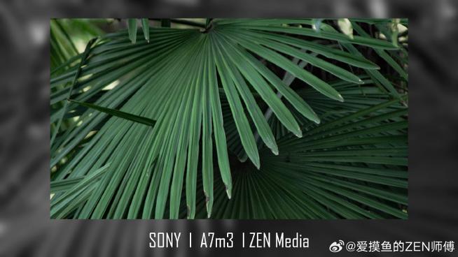 索尼刚拍的照片无法显示截图