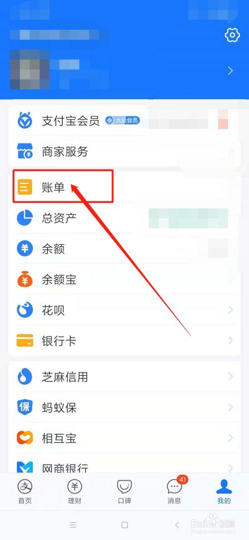 支付宝全年总支出在哪看图标