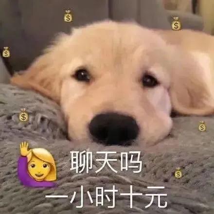 再聊十块钱的图标