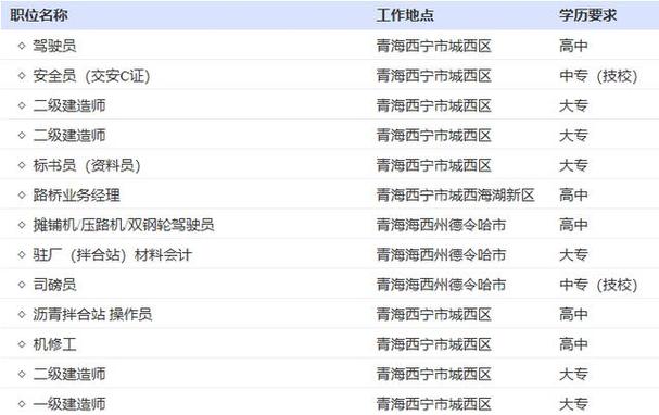 青海省人才网官网入口图标