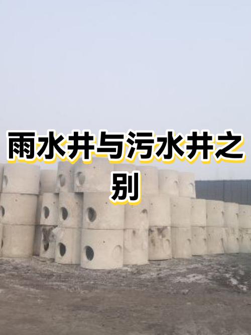 雨水井和污水井的区别游戏截图