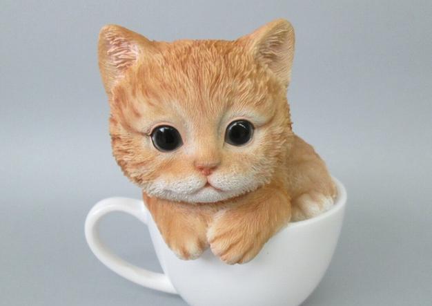 茶杯猫能活多久图标