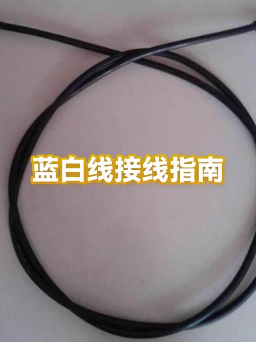 一根蓝线一根白线怎么接图标