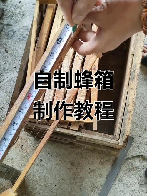 土蜜蜂换箱方法视频图标