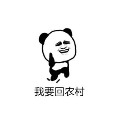 我要回农村破解