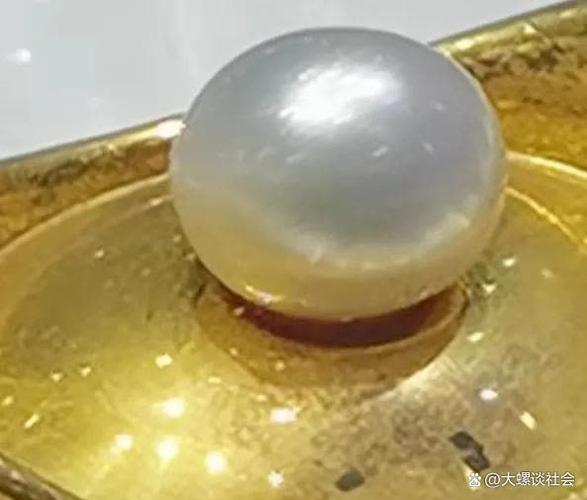 什么蚌只产一颗珍珠图标