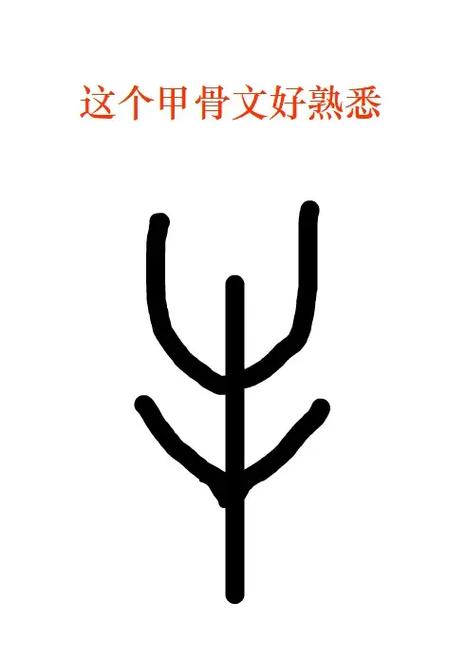 甲骨文 免费图标