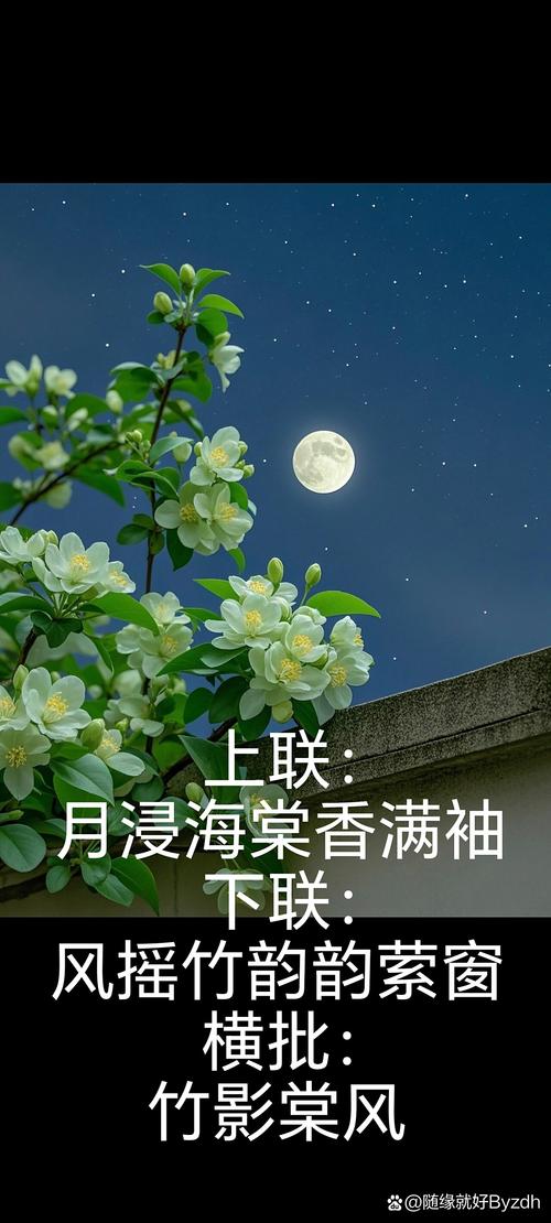 月落花语完整版免费观看图标