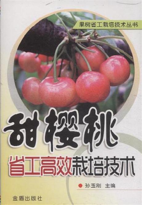 樱桃十分甜小说免费图标