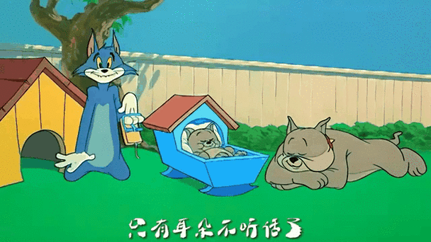 猫老霸图标