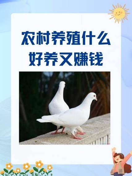 搞养殖什么最赚钱图标