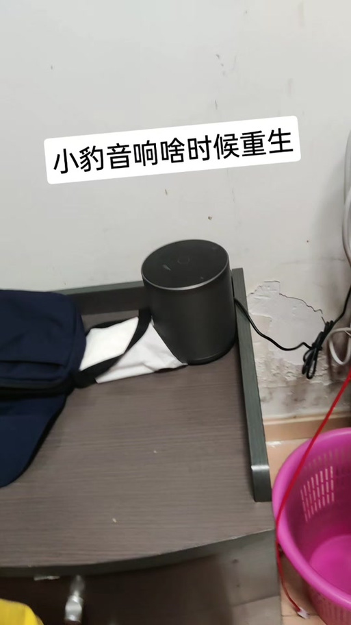 小豹音响刷机图标