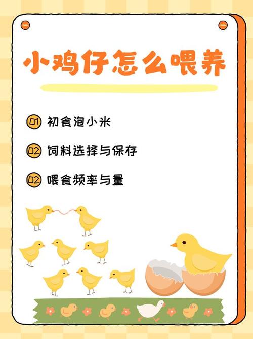 合金鸭鸭怎么喂图标