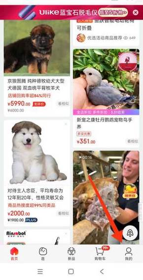 如何解绑京东山姆会员卡号图标