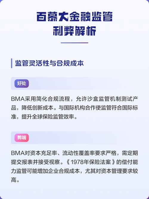 百慕大的好处与弊端图标