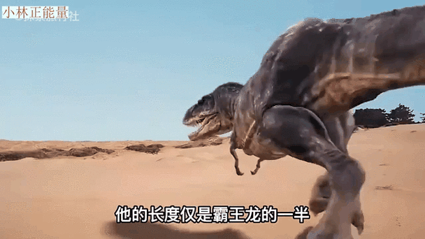 最大的食肉恐龙图标