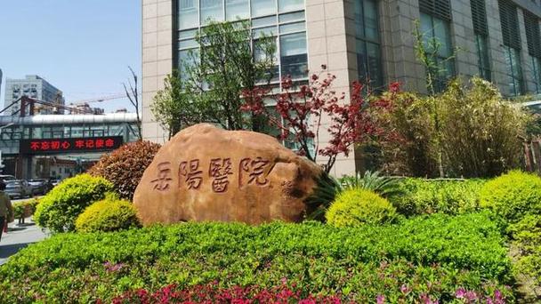 岳阳市三医院图标