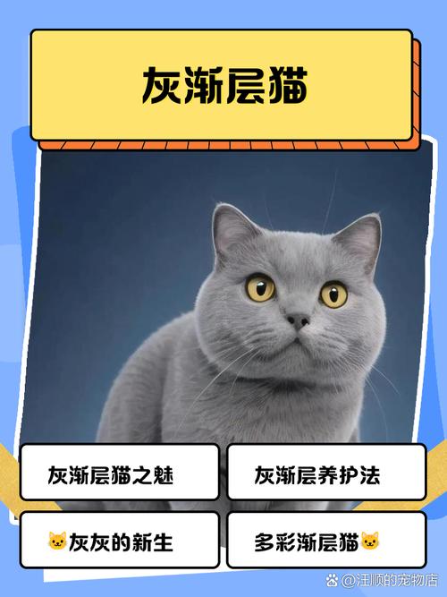 全糖去冰灰调子猫小说图标