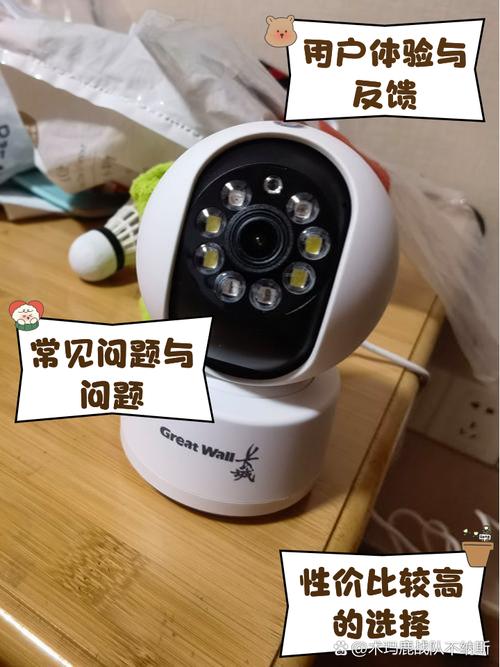 长城监控的APP叫什么名字图标
